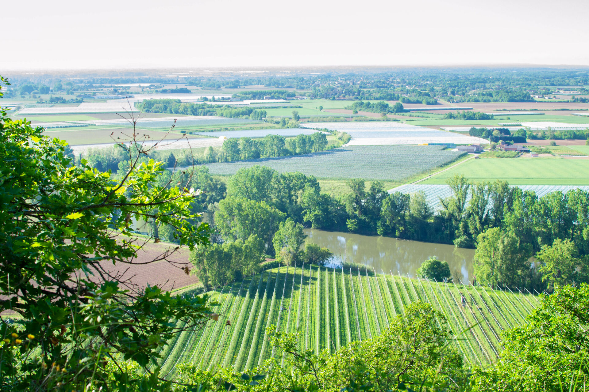 Journal de résidence : lundi 19 mai 2025 - Résidences à Montauban - Confluences